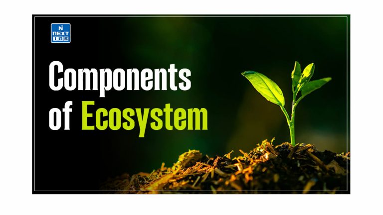 Components of Ecosystem: Abiotic & Biotic Components
