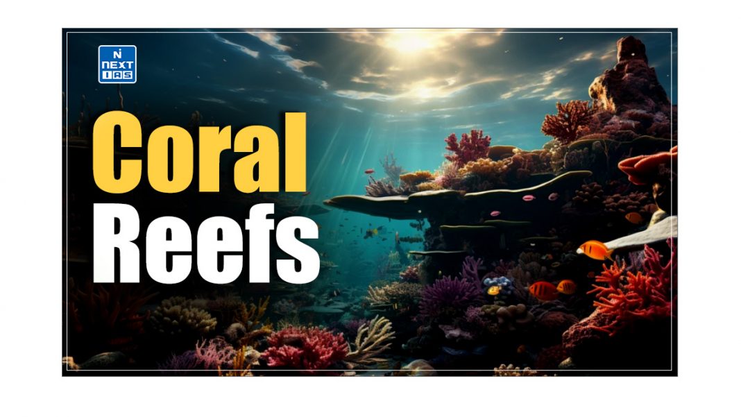 Coral seafood
