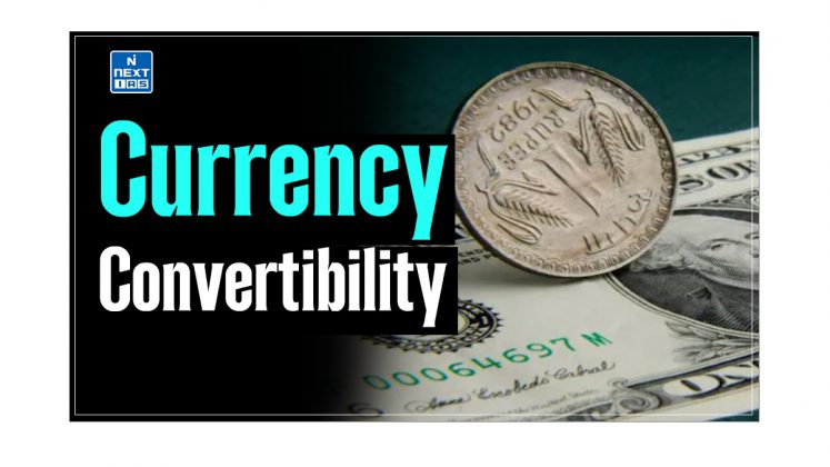 Currency Convertibility: Meaning, Components & More