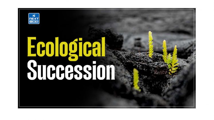 Ecological Succession: Meaning, Types & More