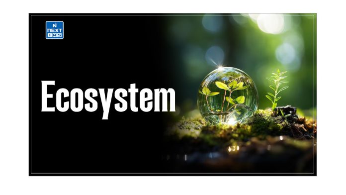 Ecosystem: Meaning, Components, Types & Functions
