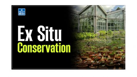 Ex Situ Conservation: Meaning, Methods & Differences