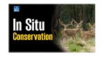 In Situ Conservation: Meaning, Methods, Advantages & More
