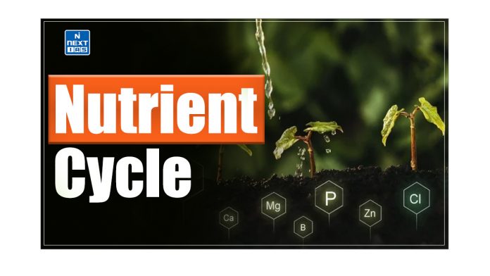 Nutrient Cycles: Carbon, Nitrogen, Water, Sulphur & More