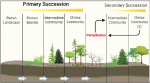 Ecological Succession: Meaning, Types & More