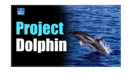 Project Dolphin: Objectives, Threats, Significance & More