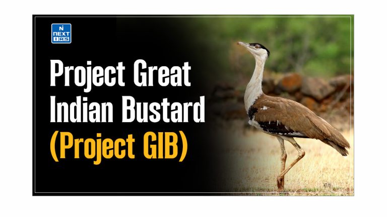 Project Great Indian Bustard (Project GIB)