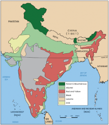 Types of Soils in India: Red, Yellow & Alluvial Soils