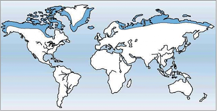 Terrestrial Ecosystem: Meaning, Types & More