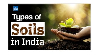 Types of Soils in India: Red, Yellow & Alluvial Soils