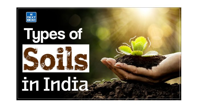 Types of Soils in India: Red, Yellow & Alluvial Soils