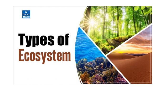 Types of Ecosystem: Terrestrial & Aquatic Ecosystem