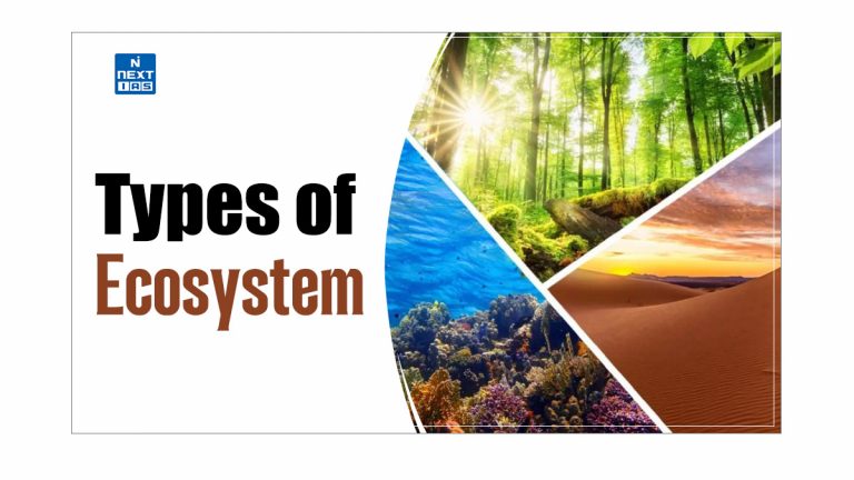 Types of Ecosystem: Terrestrial & Aquatic Ecosystem