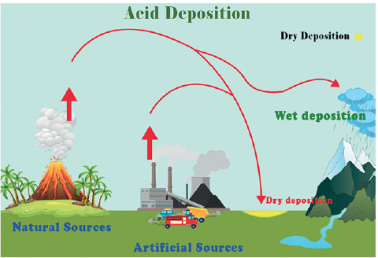 Acid Rain: Types, Causes, Effects and Impacts