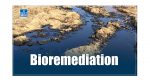 Bioremediation: Meaning, Methods, Significance & More