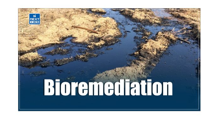Bioremediation: Meaning, Methods, Significance & More