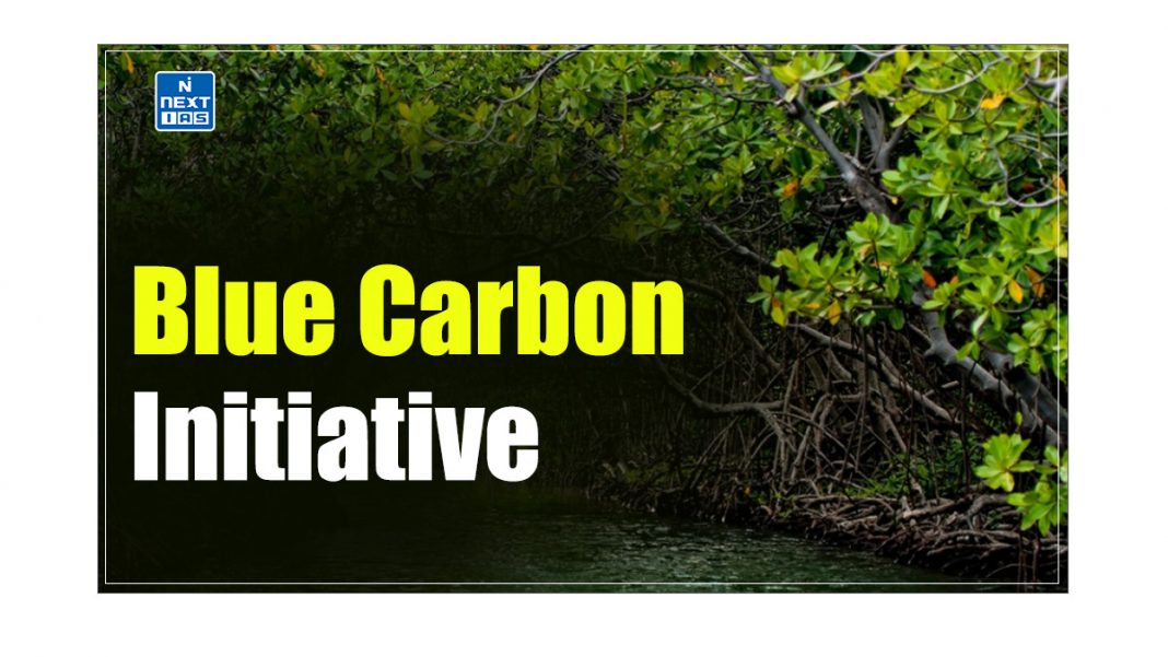 Blue Carbon Initiative: Elements, Significance & More
