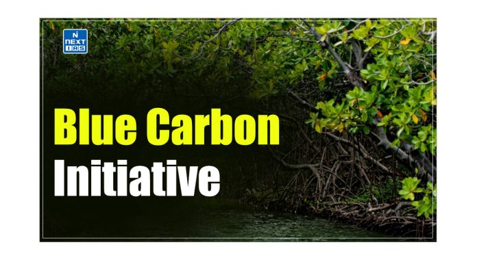 Blue Carbon Initiative: Elements, Significance & More