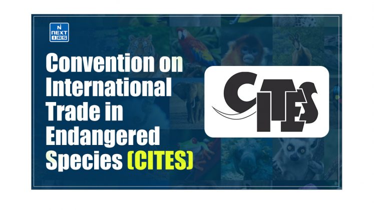 CITES: International Trade Protection for Endangered Species