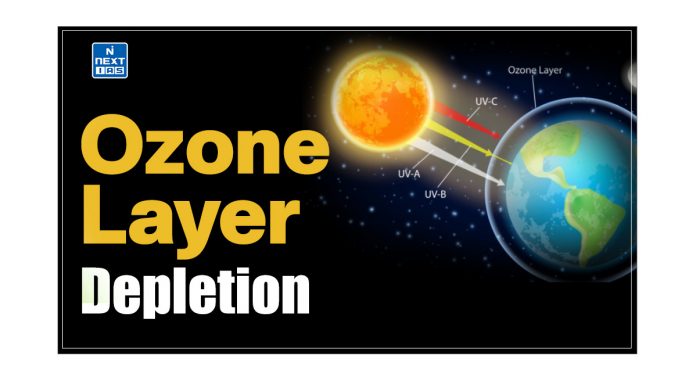 Ozone Layer Depletion: Causes, Effects & Control Measures