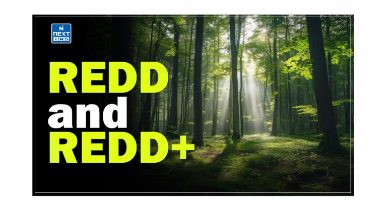 REDD and REDD Plus