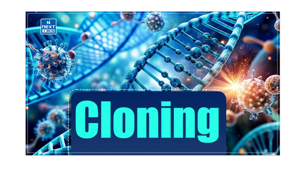 Cloning: Types, Advantages, Disadvantages & More