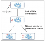 Tools used in Biotechnology: A Complete UPSC Guide