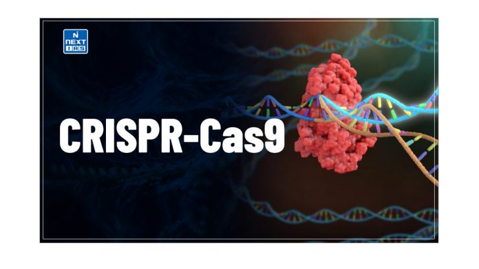 CRISPR-Cas9: Working, Application & Future Potential