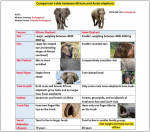 Project Elephant in India