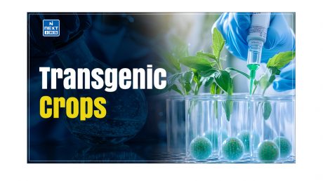 Transgenic Crops: Types, Benefits, Disadvantages & More