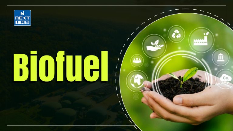 Biofuel: Types, Advantages, Applications & More