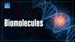 Biomolecules: About, Classification, Significance & More