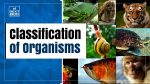 Classification of Organisms/Kingdom: A Complete Guide