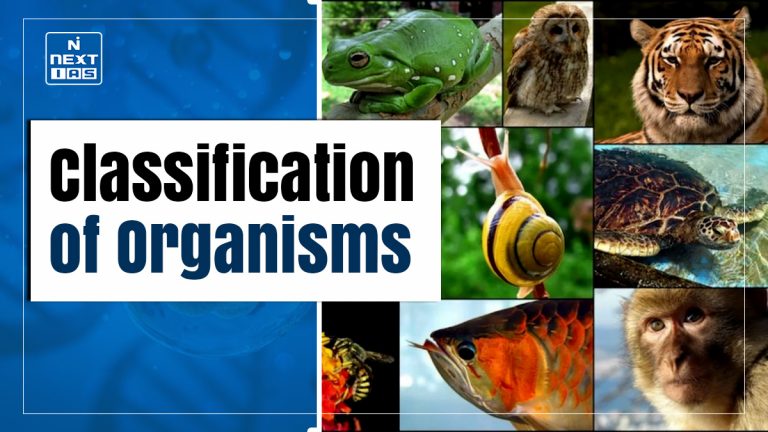 Classification of Organisms/Kingdom: A Complete Guide