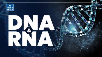 DNA and RNA: Structure, Composition, Functions & More