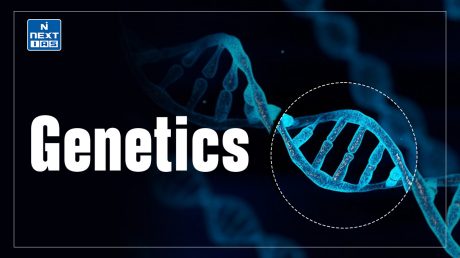 Genetics: About, Applications, Significance & More