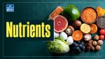 Nutrients: About, Types, Functions & More