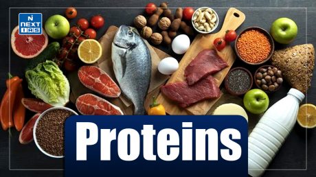 Proteins: About, Structure, Functions & More