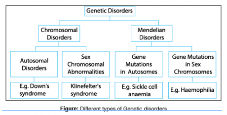 Genetic Disorders: About, Types, Causes & More