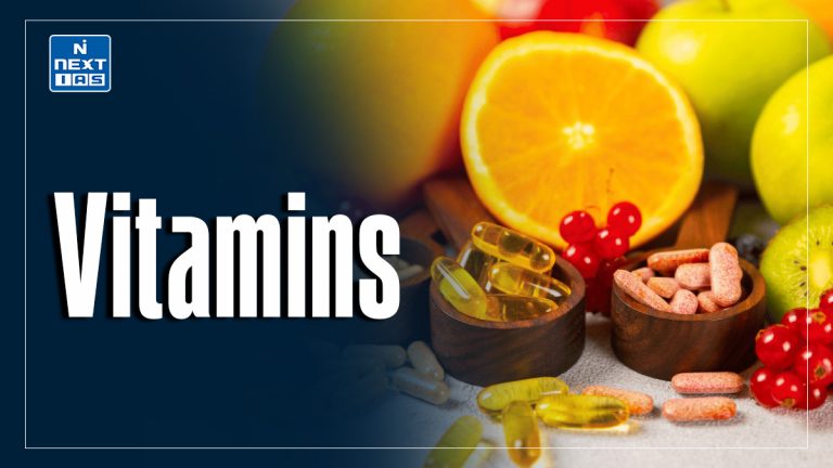 Vitamins: About, Types, Functions & More
