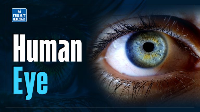 Human Eye: About, Structure, Functions & More