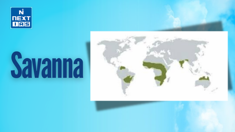 Savanna: Features, Challenges & Significance