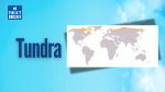 Tundra: Features, Distribution & Significance