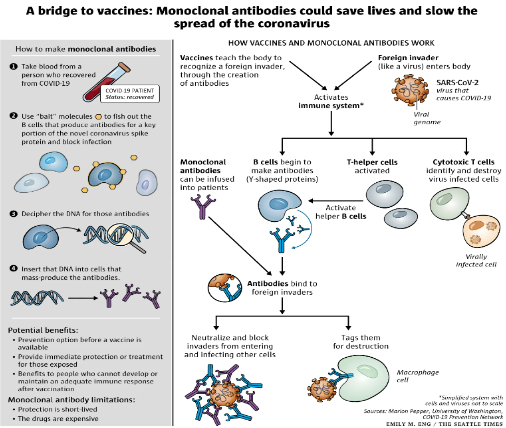 Monoclonal Antibodies - Current Affairs