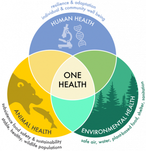 First State/UTs Engagement Workshop Under the National One Health Mission