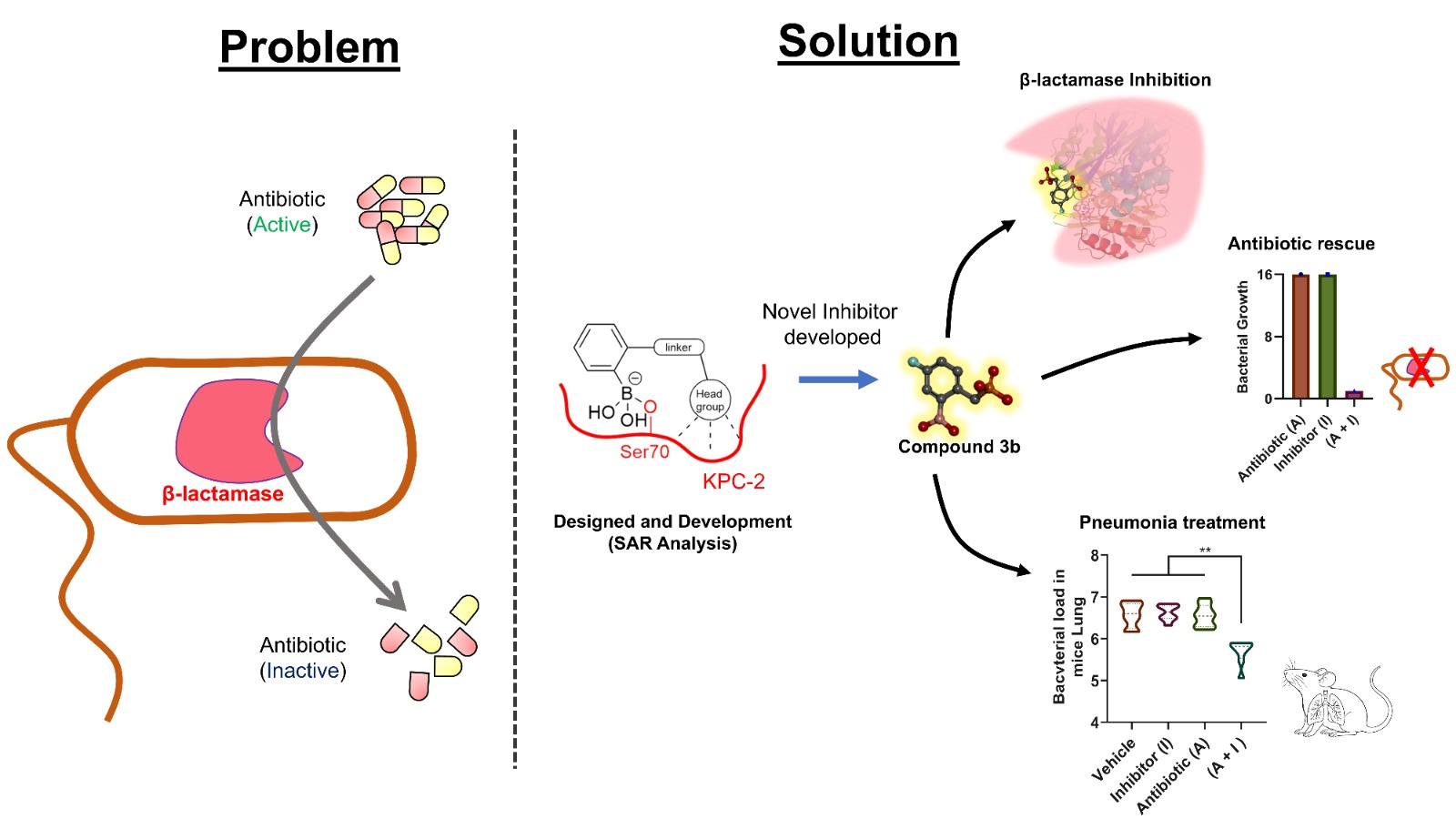 Fight Against Antibiotic Resistance: Causes, Efforts & More